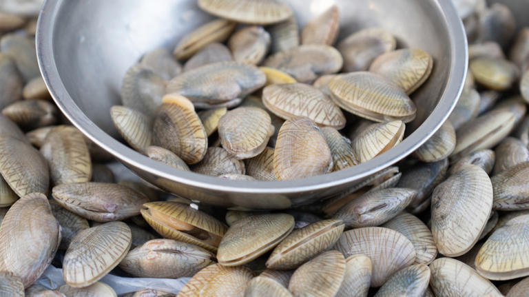 The US State With The Best Clam Chowder May Not Even Be In New England