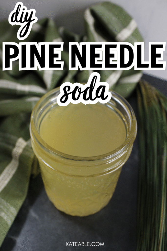 Homemade Pine Needle Soda