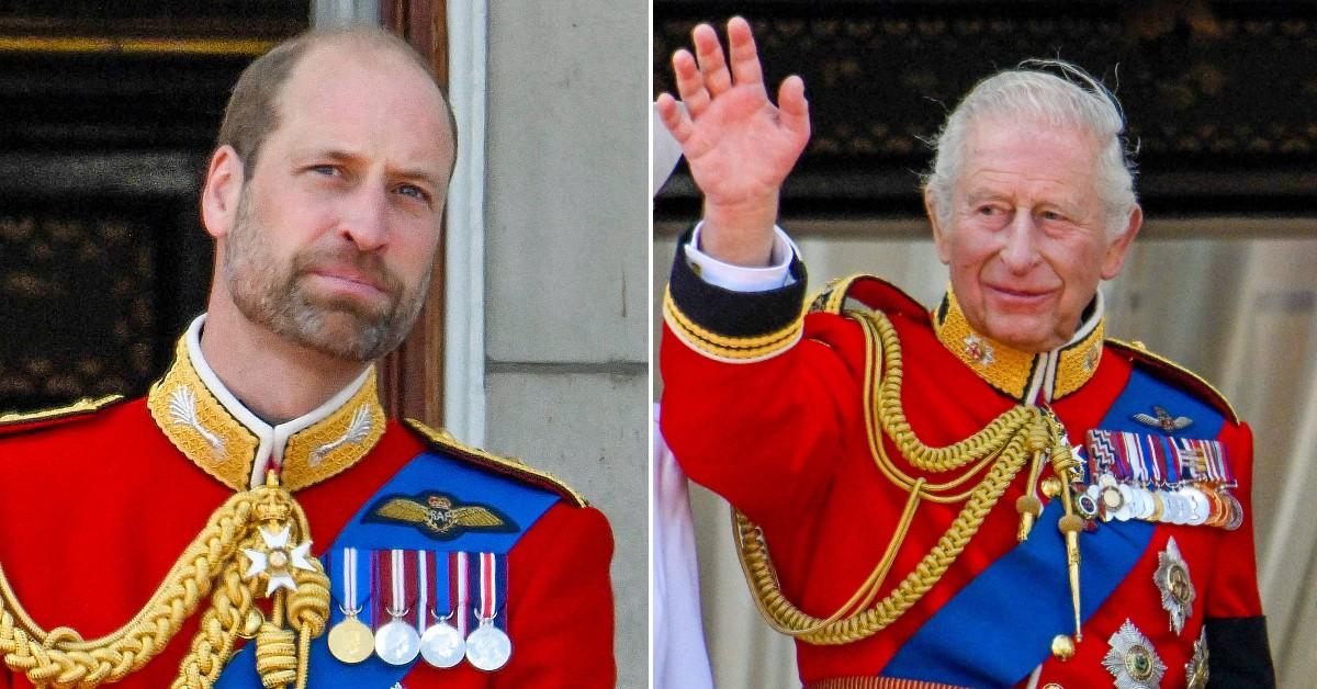 Prince William Faces Issues With Monarchy Revamp Plan