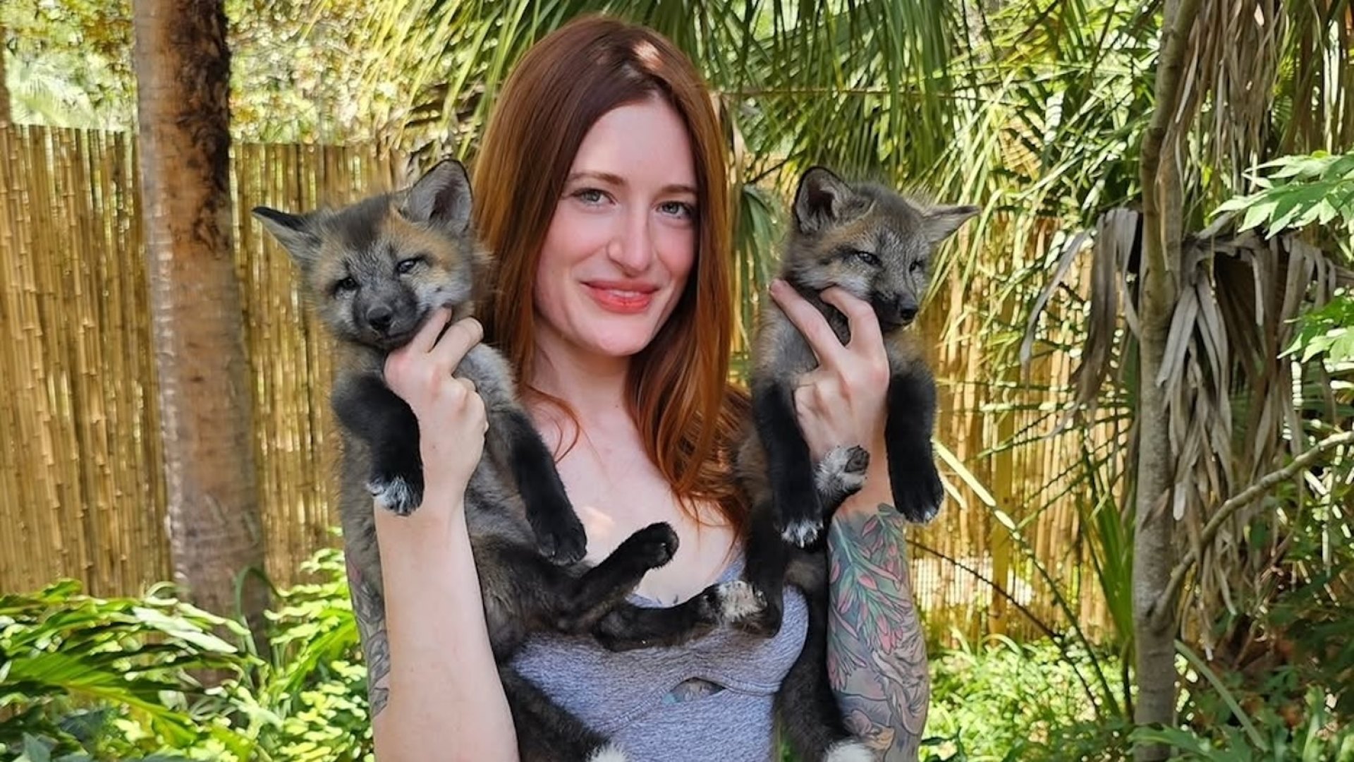 Fans Sign Petition to Take SaveAFox Down Snark Page After YouTuber's ...