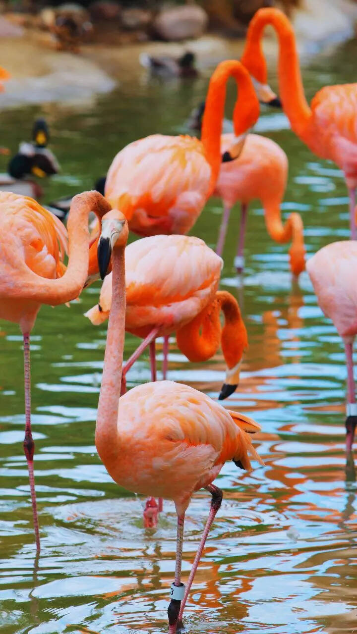 7 remarkable natural UNESCO World Heritage Sites that are in India