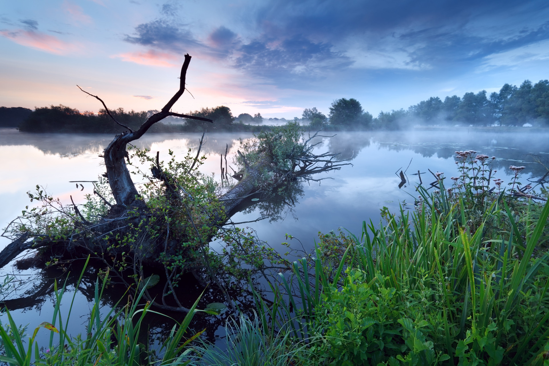 De mooiste natuurgebieden van Nederland
