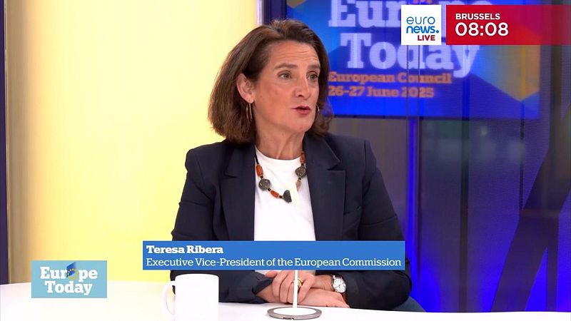 Delay to EU's 2040 climate goals ‘a mistake’, Ribera answers Macron