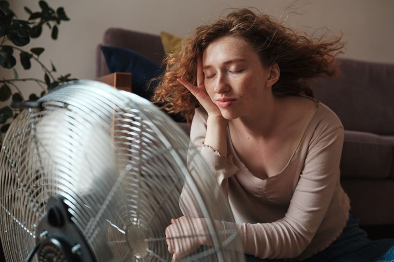 15 easy things to do now to keep your house cool in a heatwave - day ...
