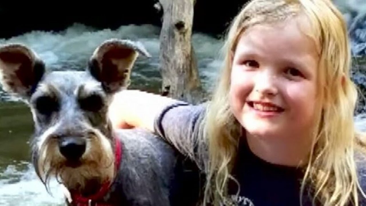 Family Warns Others After Dog Dies From ‘Water Intoxication’ Playing ...
