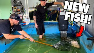 Fish Garage Sale Haul – I Took Everything!