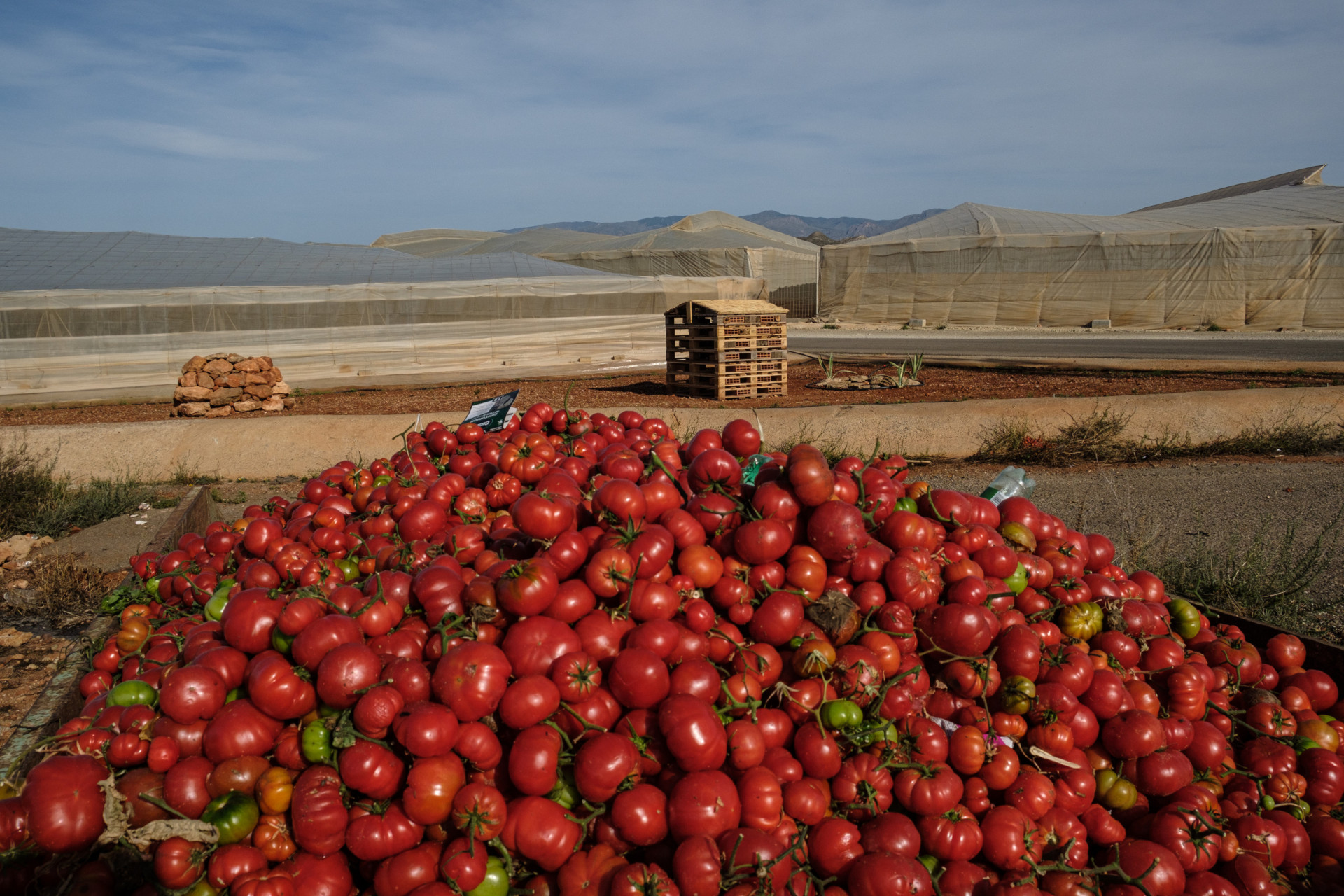 Countries that waste the most food