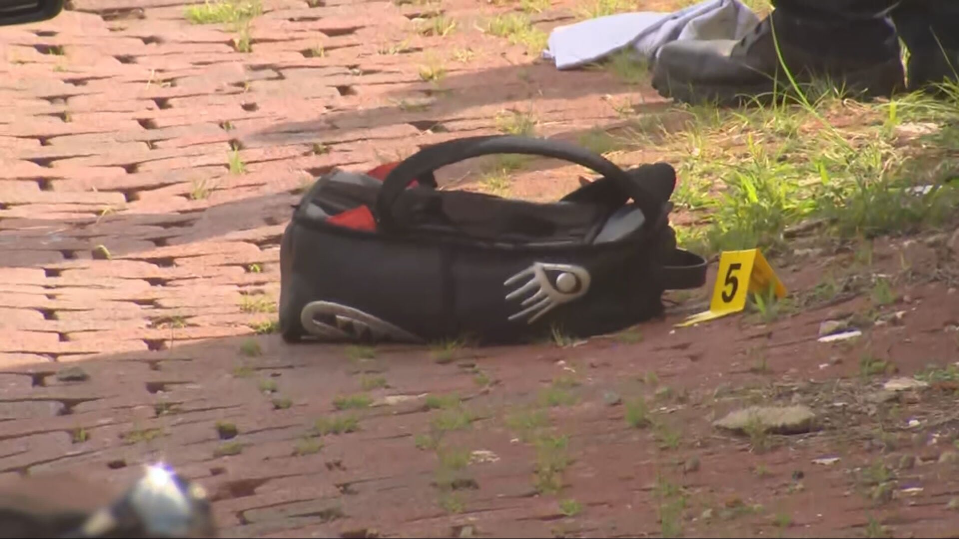Teens killed in Pitcairn double shooting identified
