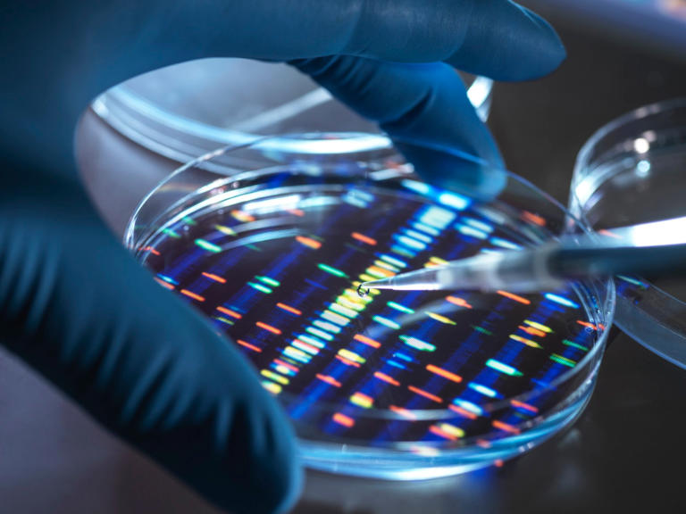 Scientists want to create human DNA from scratch