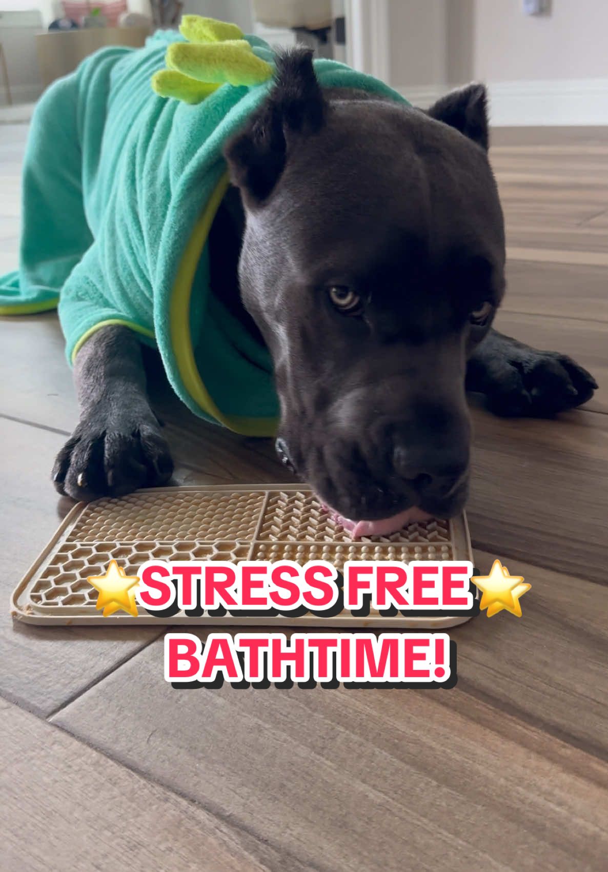 How to do Beau's bath without stress