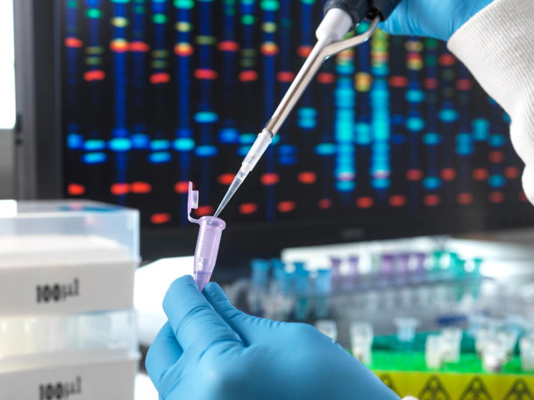 Scientists want to create human DNA from scratch