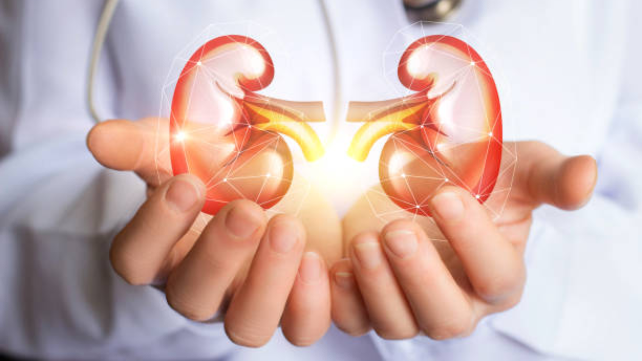 Kidney health: 7 foods that help your kidneys, and 5 that secretly harm ...