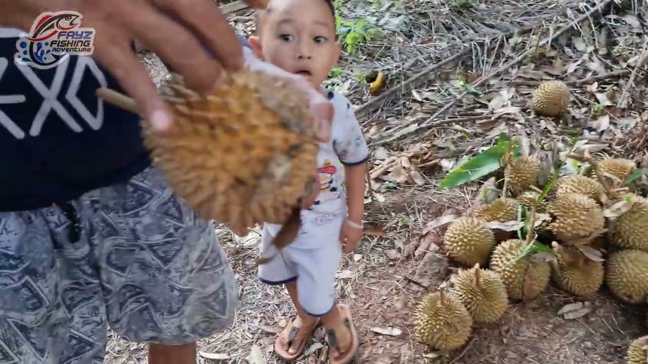 Memancing Giant Betta atau Tempala