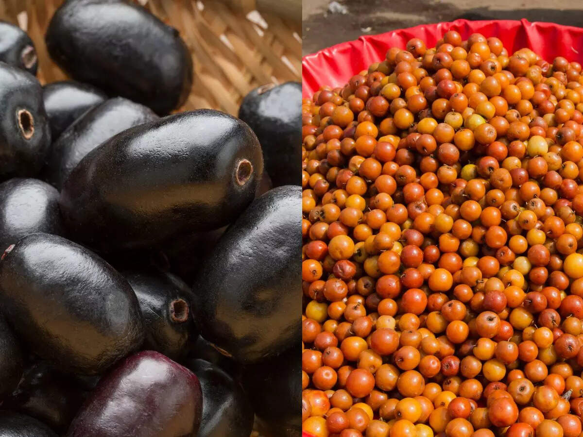 Ber vs Jamun: Which is healthier?
