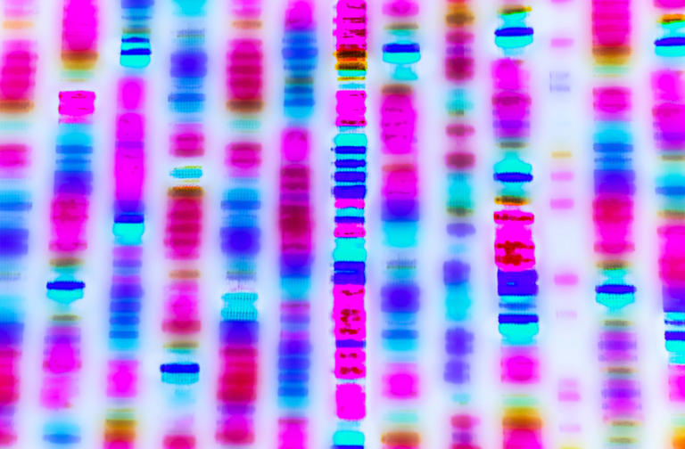 Scientists want to create human DNA from scratch