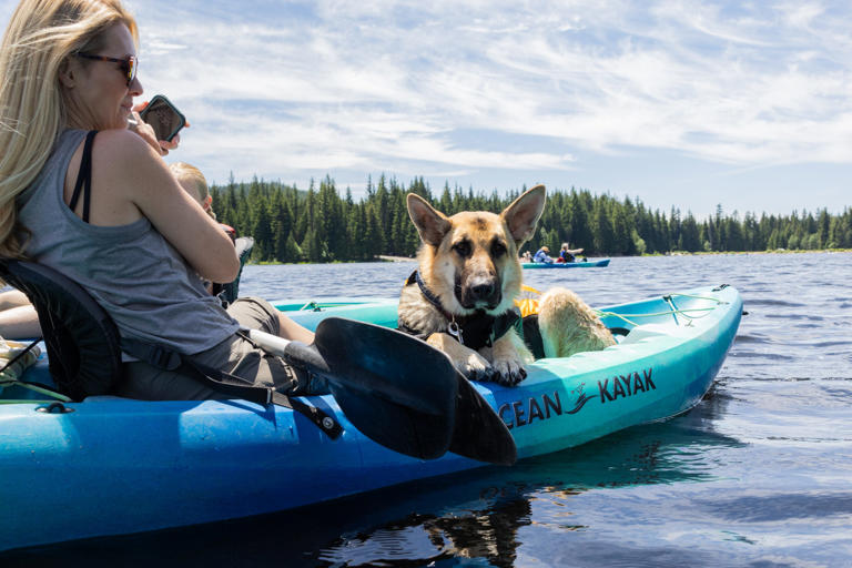 New Oregon law ups boating fee, requires all boats to get permit to ...