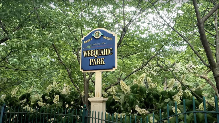 This Quiet Newark Neighborhood Has A Scenic Lake, Historic Park, And ...