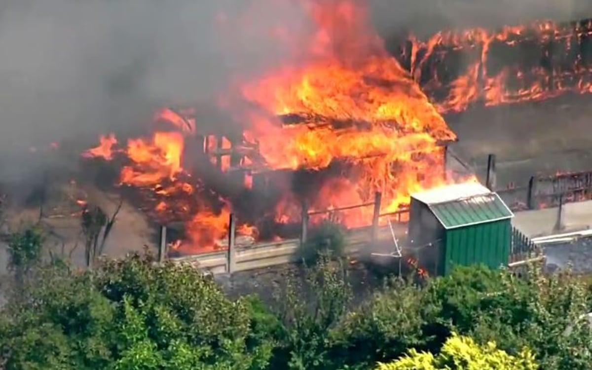 Inside London Fire Brigade's fight against wildfires amid fears hot ...