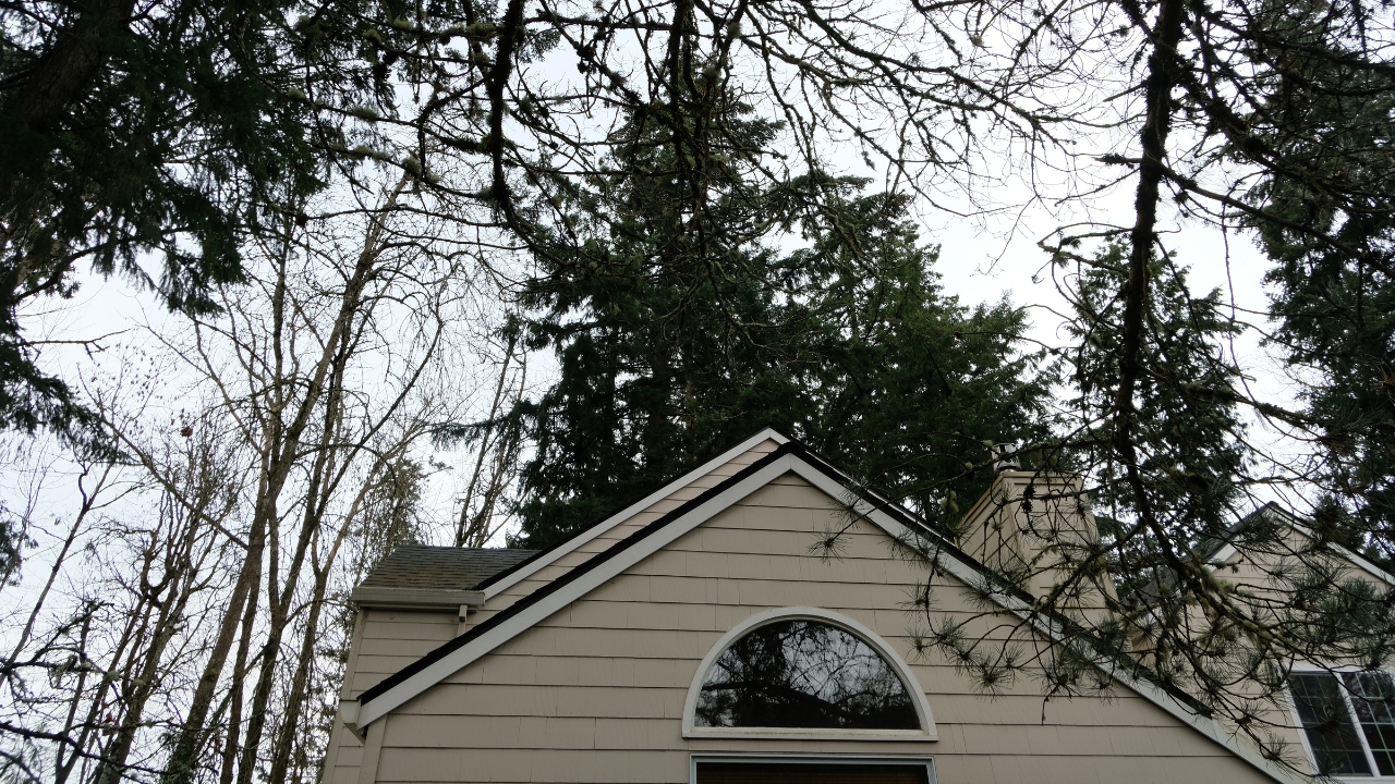 9 Things Buyers Notice in Your Yard Before the House