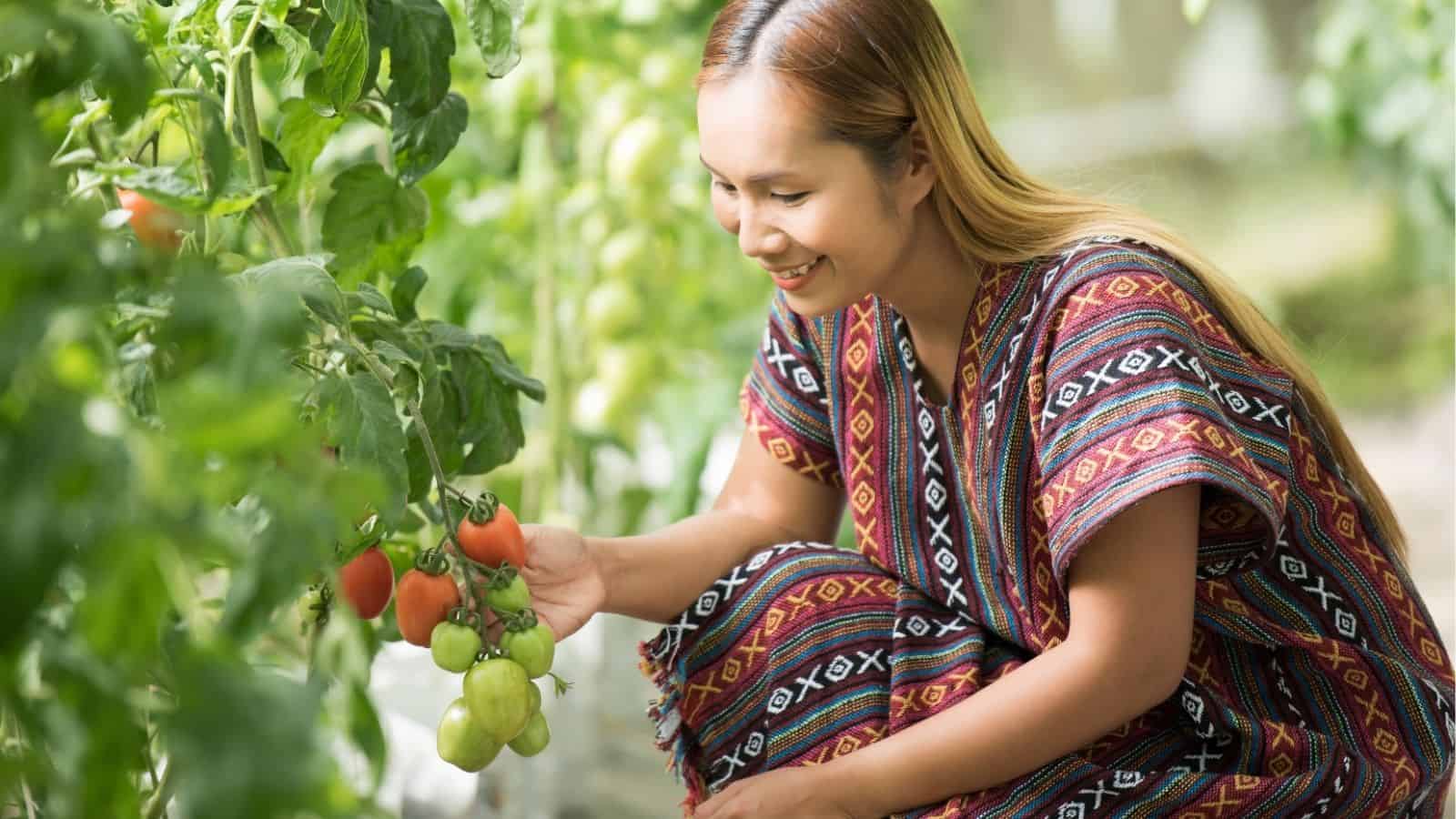 9 Plants That Make Your Tomatoes Taste Even Better