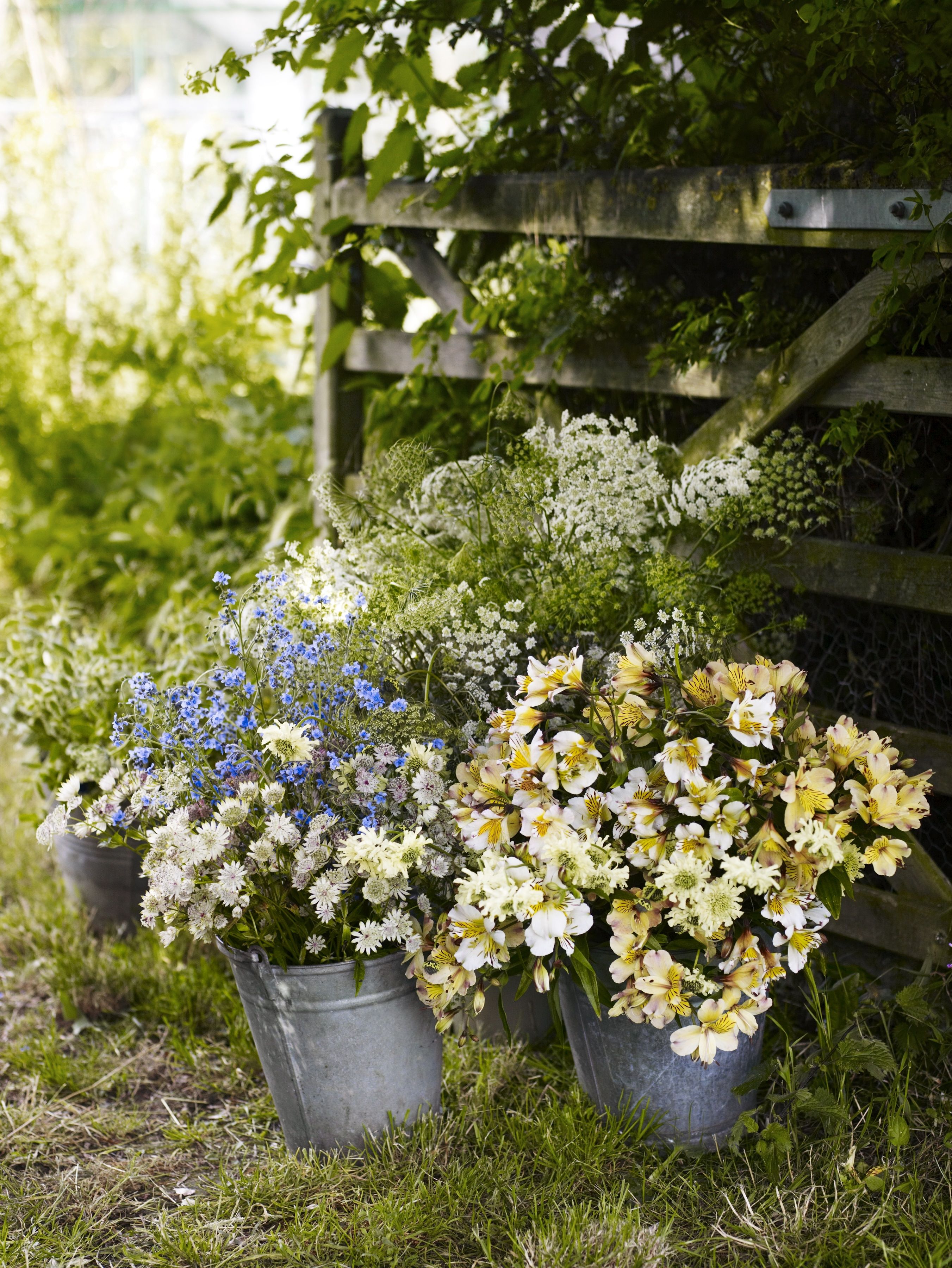 12 unusual planter ideas to add charm and character to your garden