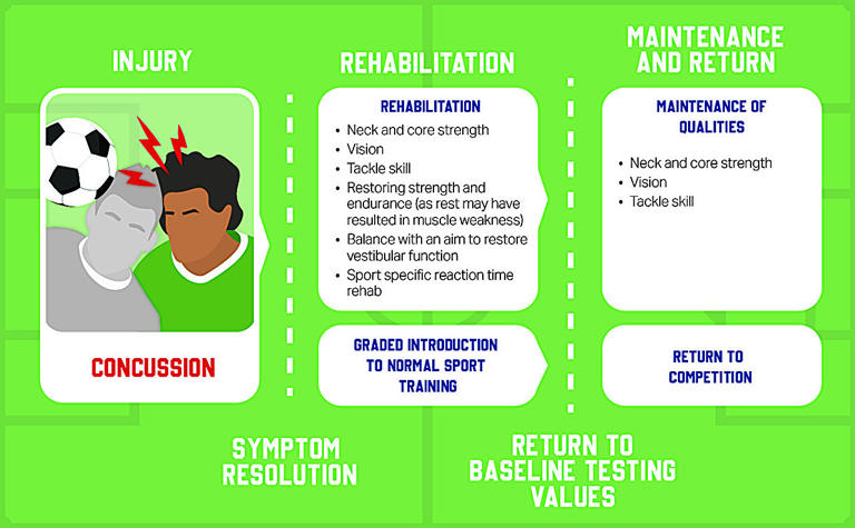 Beyond the big leagues: Researchers call for better concussion care in ...