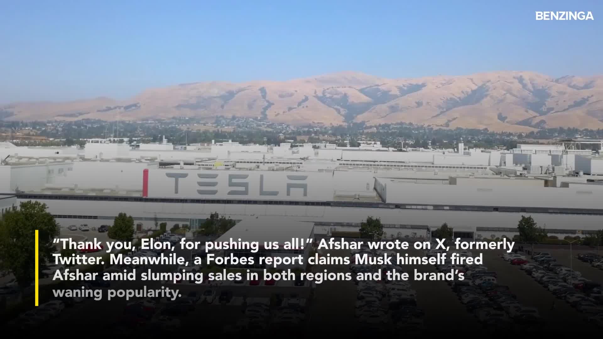 'Thank You, Elon-' Musk's Longtime Aide Reportedly Fired Days After ...