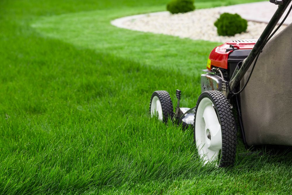 11 signs it's time to replace your lawn mower