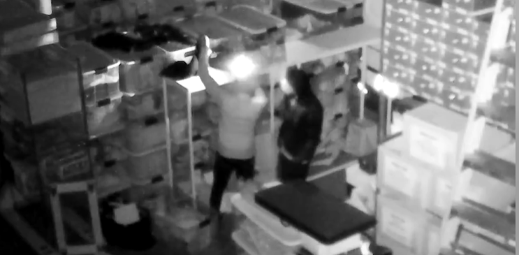 5 accused of stealing rare sneakers from Marcus Jordan's warehouse in ...