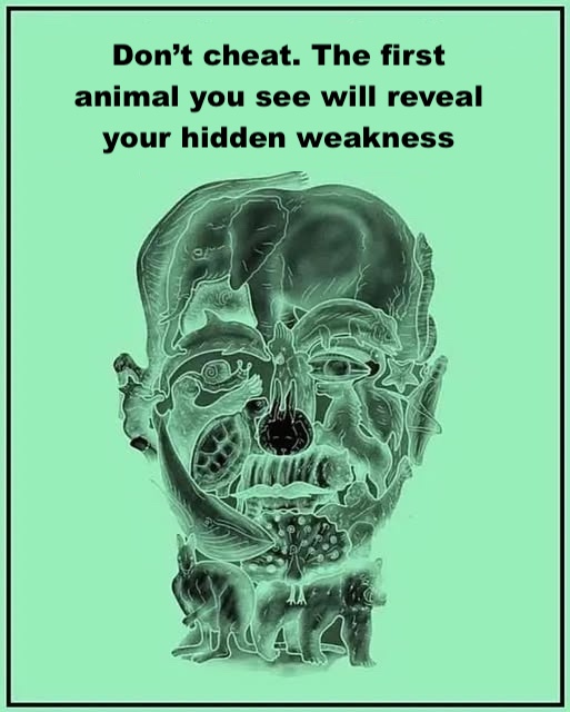 This Visual Test Reveals Your ‘Worst Flaw' Based on the First Animal ...