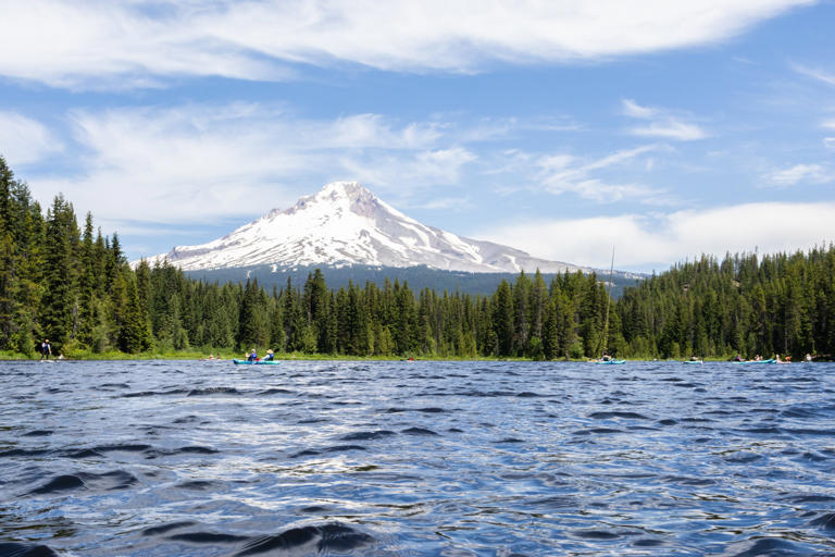 What to know for fire restrictions in Willamette, Mount Hood, Columbia ...