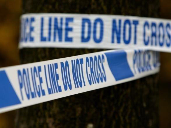 Trophies and silverware stolen by ruthless burglars from Petersfield ...