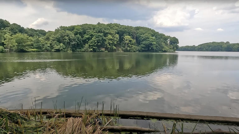 This Quiet Newark Neighborhood Has A Scenic Lake, Historic Park, And ...