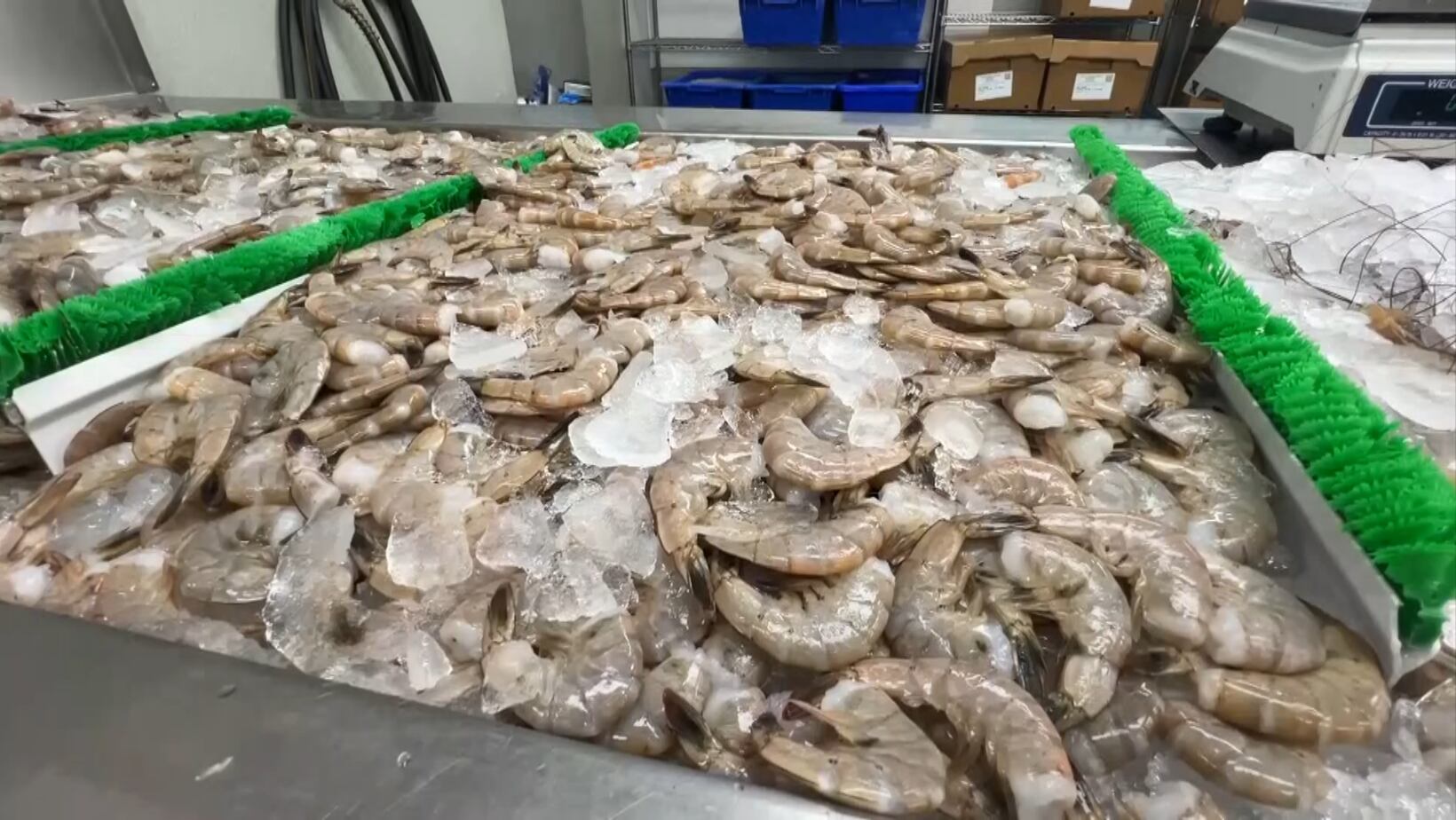 Law enforcing restaurants to label seafood as domestic or imported goes ...