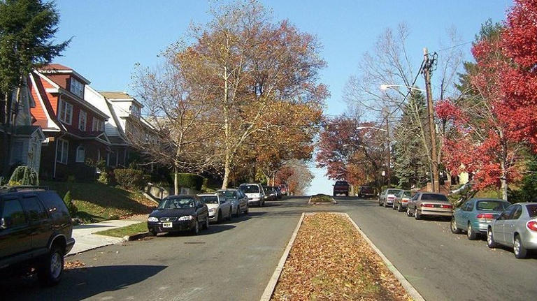This Quiet Newark Neighborhood Has A Scenic Lake, Historic Park, And ...