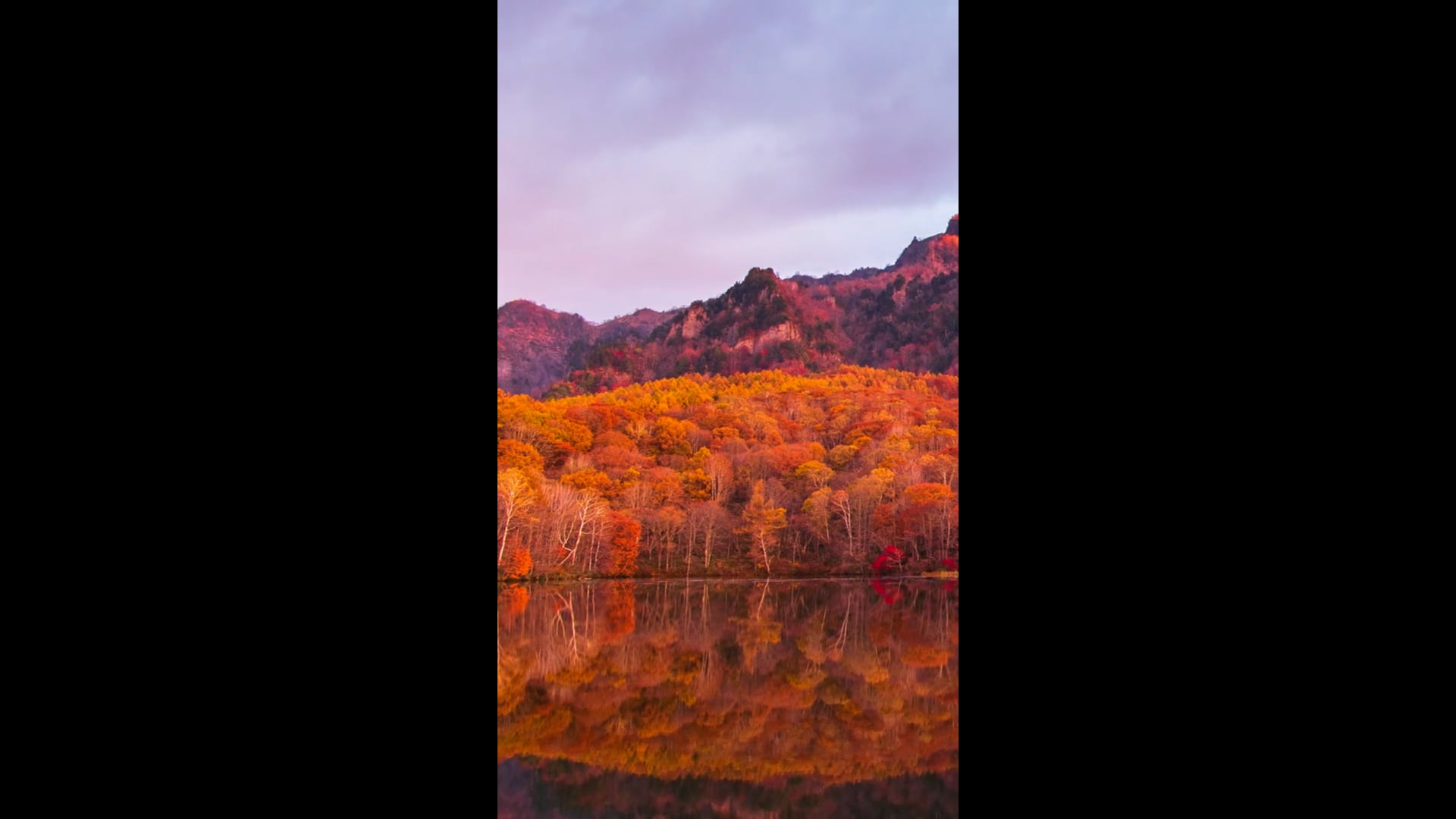 The Art of Nature: Time-Lapse Reveals the Cycle of the Four Seasons.