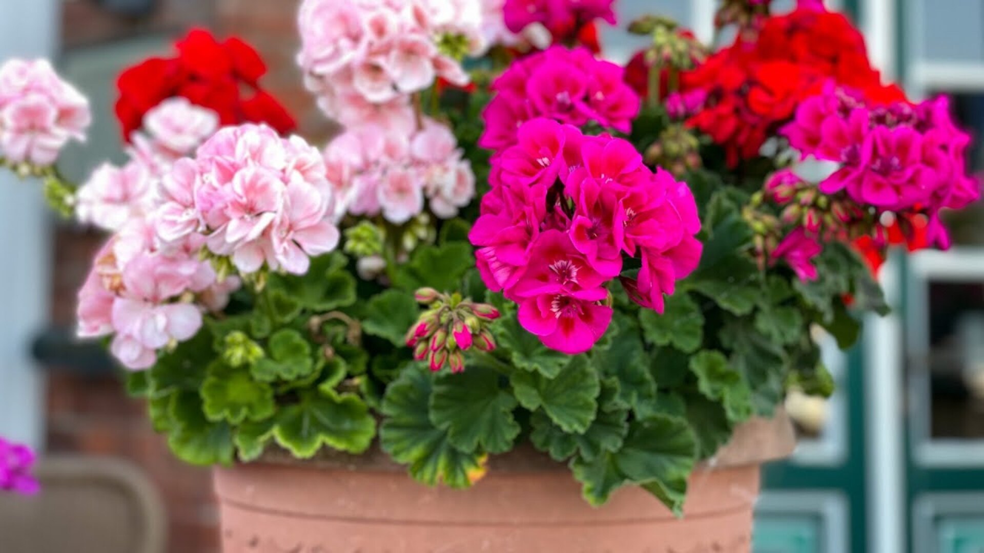 We'll Never Pot A Plant Another Way After Seeing This Viral Tip