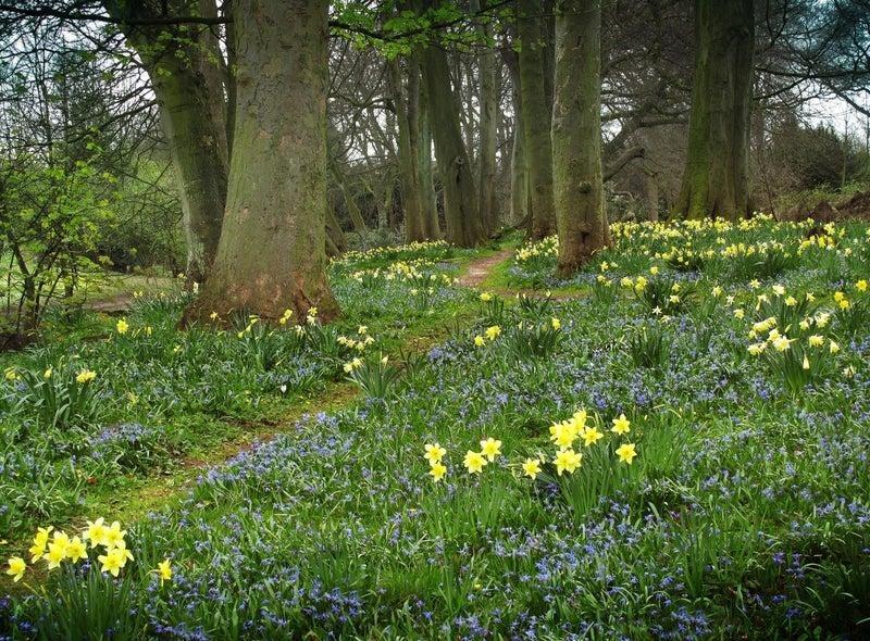 17 Sunderland parks to visit and the hidden stories they hold