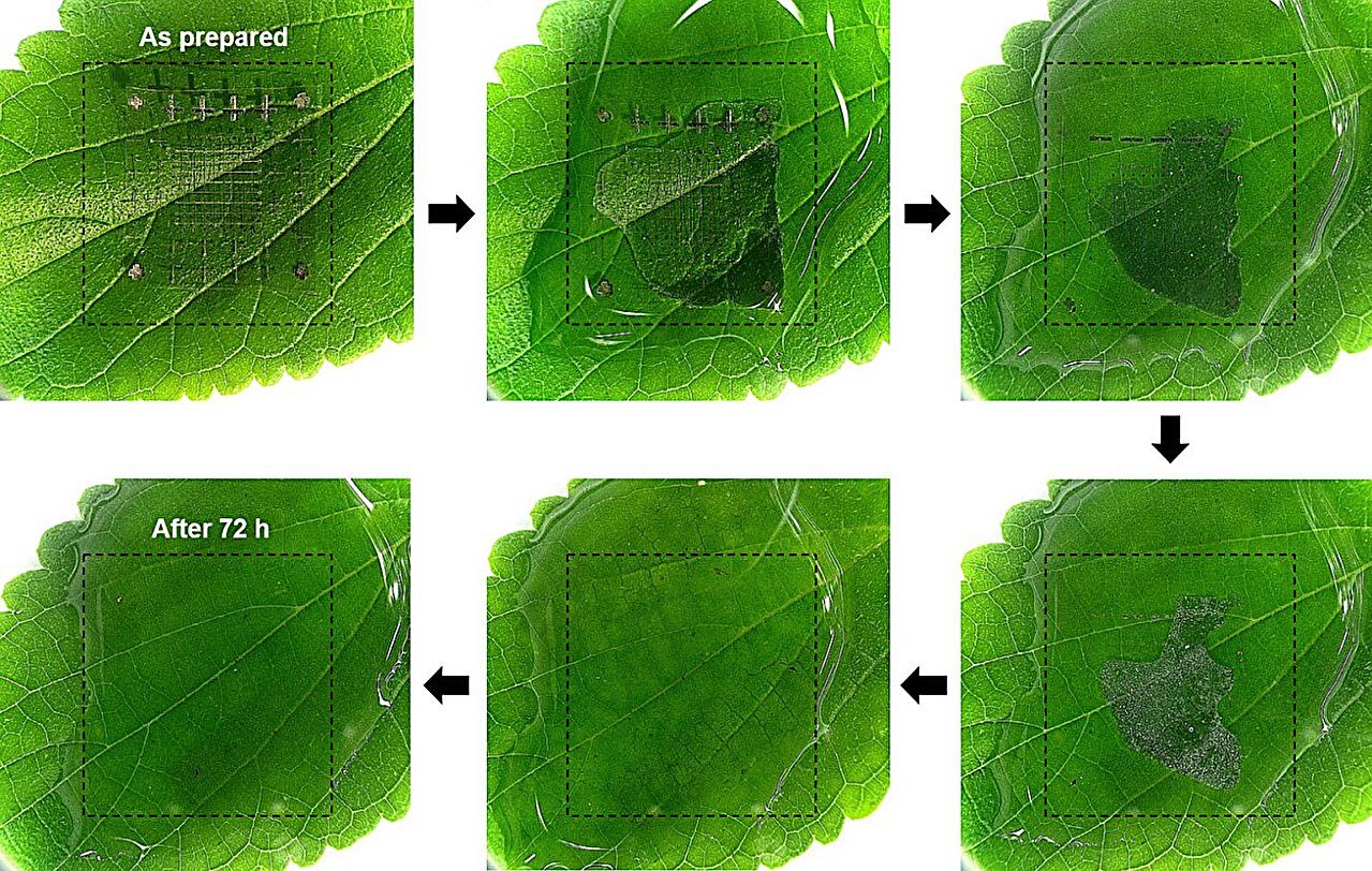 High-performance memory devices can dissolve in water to address e ...