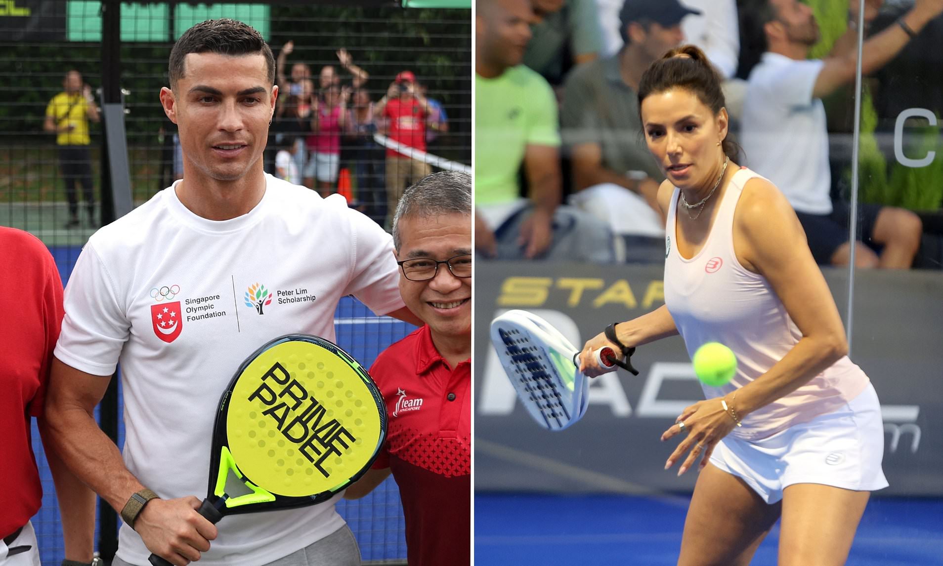 The incredible numbers behind the world's fastest growing sport: New ...