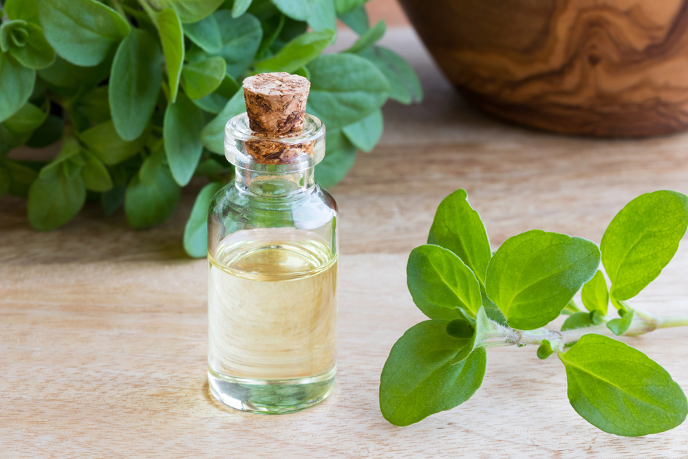 15 Steps to Make Your Own Natural Bug Spray
