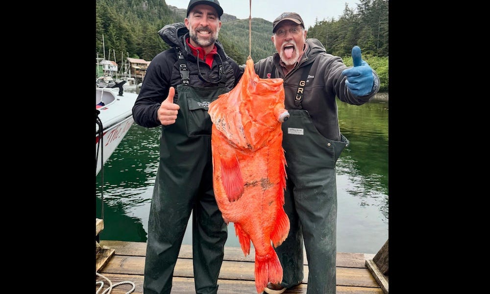 Massive rockfish, of world-record size, finally meets its match