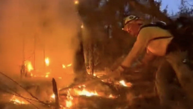 New Mexico Firefighters Battle Intense Trout Fire