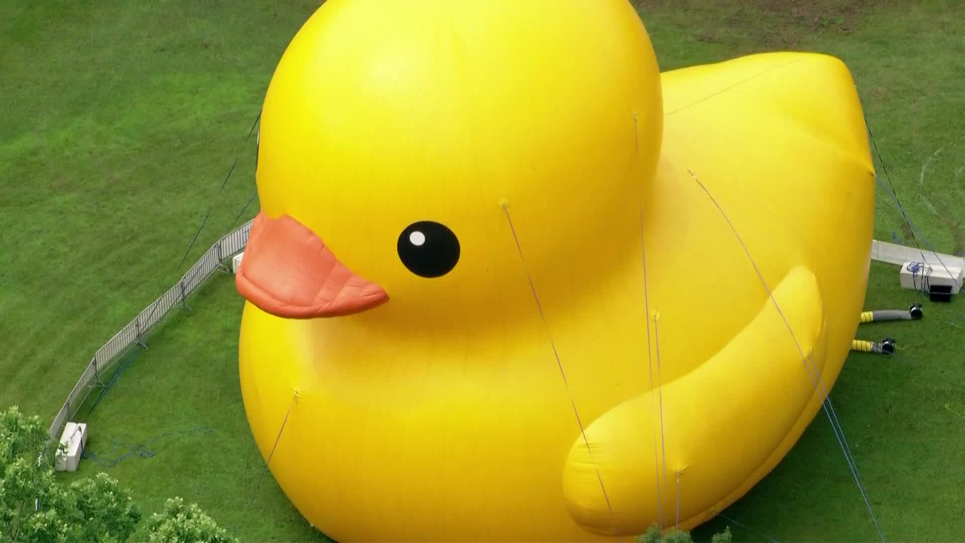 World's largest rubber duck has returned to Pennsylvania