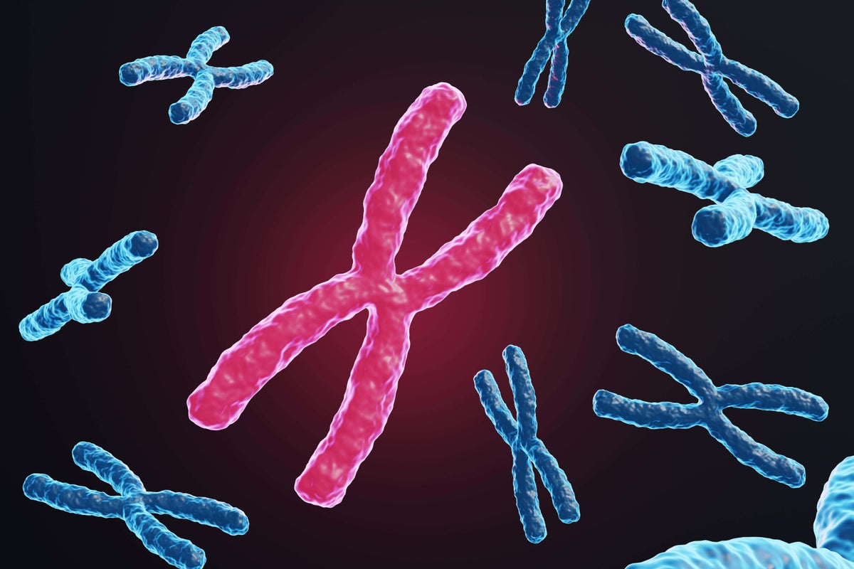 Scientists aim to build full synthetic human chromosome with £10m