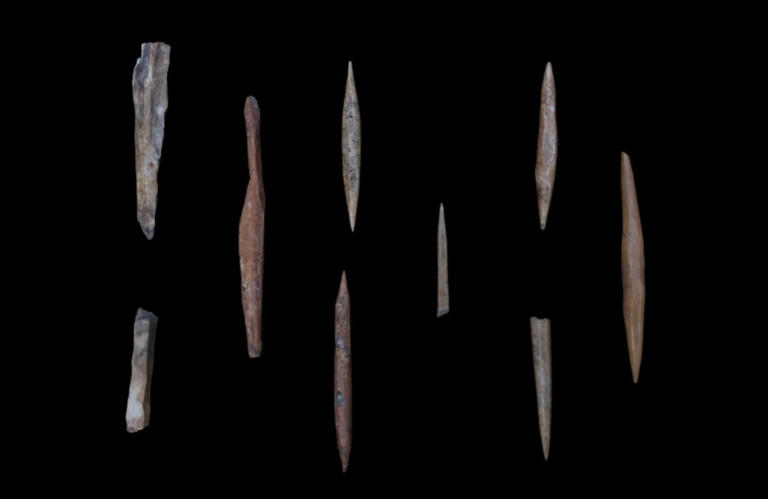 Deeg Unearths Indian History: OCP Pottery, Shiva-Parvati Idol, Dried ...