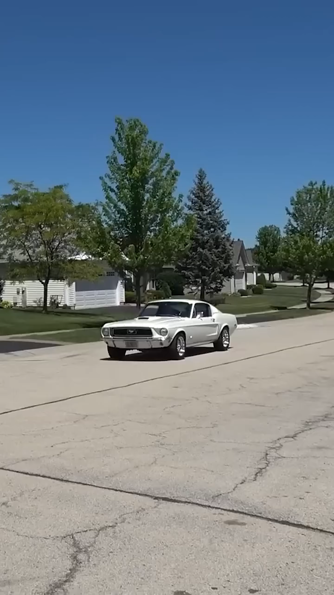 Factory 428 Cobra Jet Test Car # 32 of 50 1968 Ford Mustang & Ride