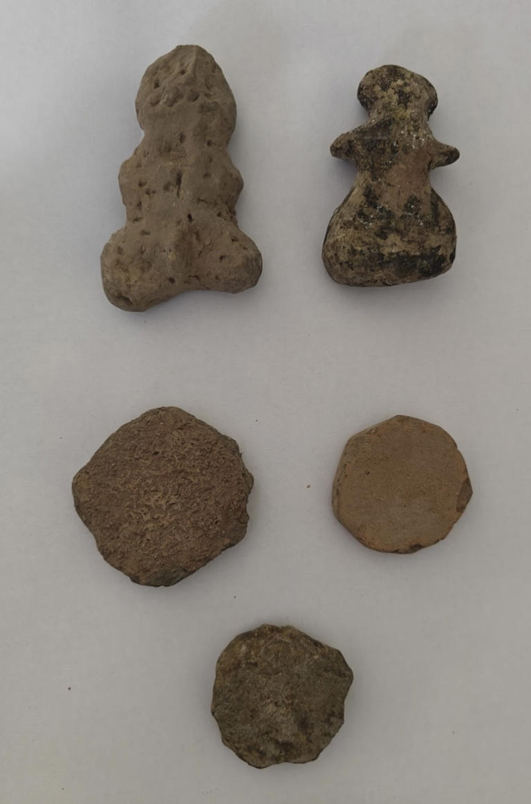 Deeg Unearths Indian History: OCP Pottery, Shiva-Parvati Idol, Dried ...