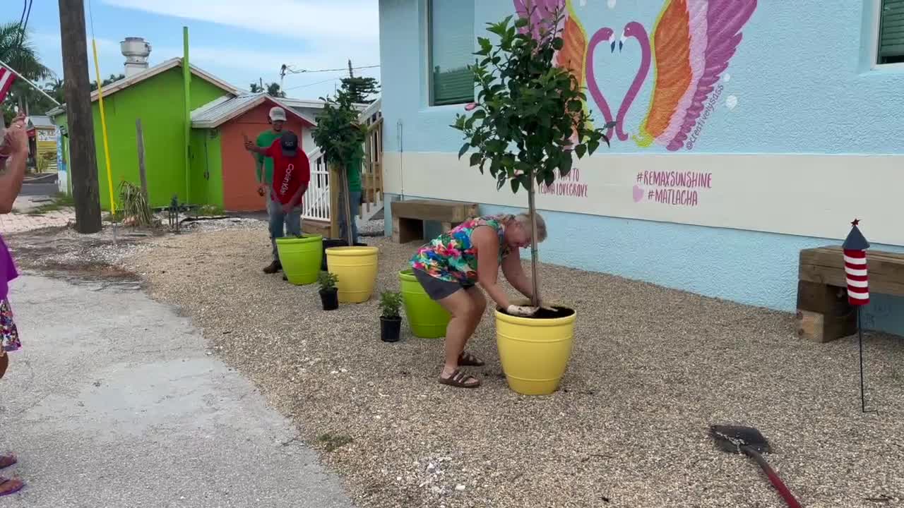 Matlacha businesses bloom again: Civic association distributes plants ...