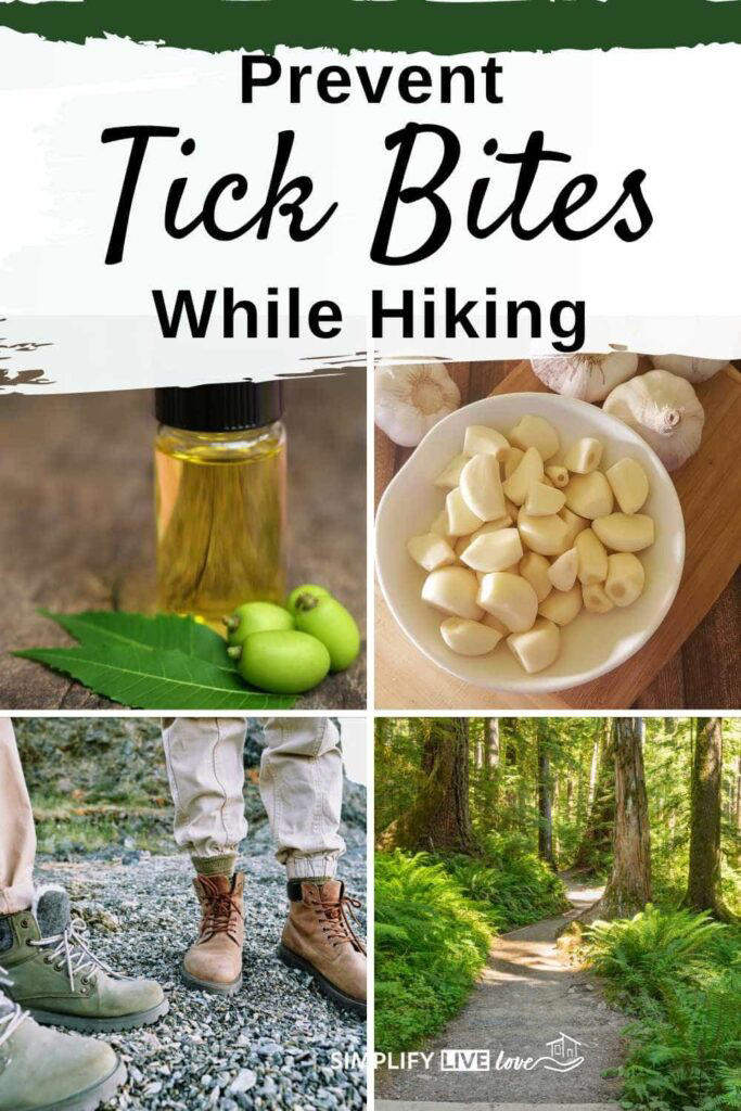 How to Avoid Ticks While Hiking: 10 Proven Natural Methods to Stay Safe ...